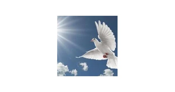 Mrs. Janet Carlen Weingarten Forbes Obituary (2026) - West Union, SC ...