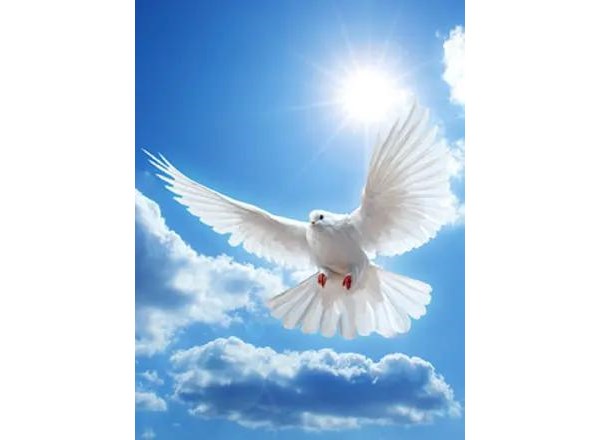 Robert Swanson Obituary (2024) - Ogdensburg, NY - Frary Funeral Homes ...