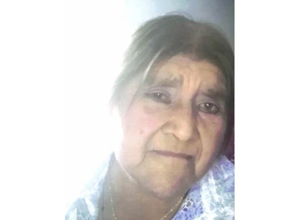 Connie Ramirez Obituary (2026) - Carson City, MI - Lux and Schnepp ...