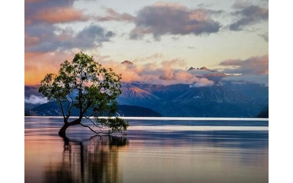 Marcia Gordon Obituary and Online Memorial (2026)
