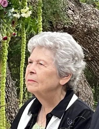 Reverend Mary Ellen Delchamps Magnusson Obituary (2024) - Kingwood, TX ...