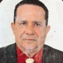 Domingo Castro Obituary (2024) - Lantana, FL - Palm Beach Memorial Park ...