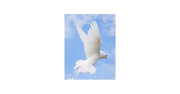Ulysses Thomas Jr. Obituary (2025) - Indianola, MS - Byas Funeral Home ...