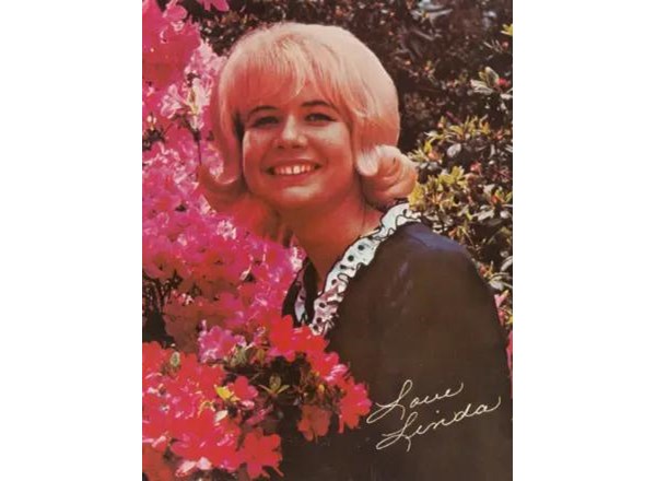Linda Shepherd Freeman Obituary (2025) - Greenville, NC - Wilkerson ...