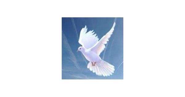 Robert John "Bob" Conklin Obituary (2025) - Belleville, IL - Kurrus ...