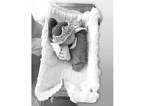 Regan Suzanne Johnson Obituary (2025) - Gray, GA - Gray Memorial Chapel ...