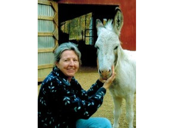 Dr. Joanne Wilson DVM Obituary (2025) - Terre Haute, IN - WTHI-TV 10 News