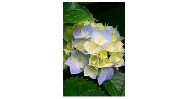 Kara Parmer Obituary (2024) - Redding, CA - Allen & Dahl Funeral Chapel ...