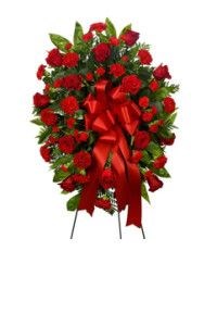 William O’Donald Doughty Obituary (2026) - Summerton, SC - Samuels ...