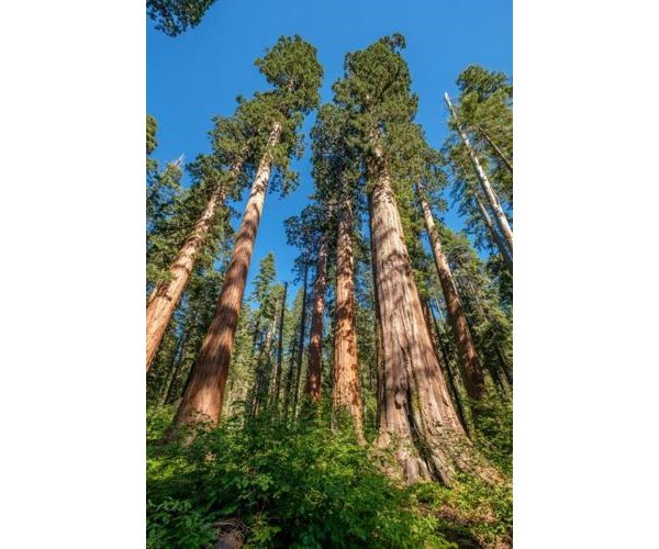 Albert Palmer Obituary and Online Memorial (2026)