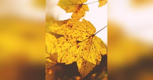 Edward G. Pritchard Obituary (2022) - Wallingford, VT - Durfee Funeral ...