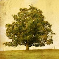 Kent Price Obituary (2025)
