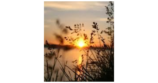Donald Jenkins Obituary (2024) - Rutherford, NJ - Calhoun - Mania ...