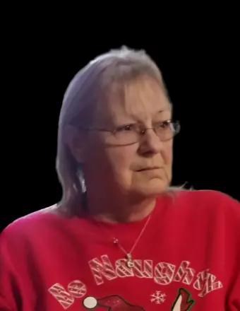 Brenda Sue Raines Obituary (2024) - Romeo, MI - Henry M. Malburg ...