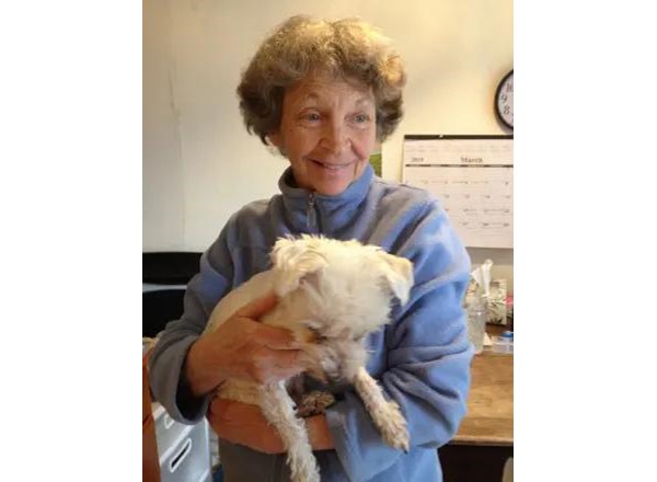 Ann M. Willis Obituary (2025) - Highland Mills, NY - Smith, Seaman ...