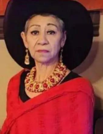 Angeles Romero Obituary (2024) - Naperville, IL - Beidelman-Kunsch ...