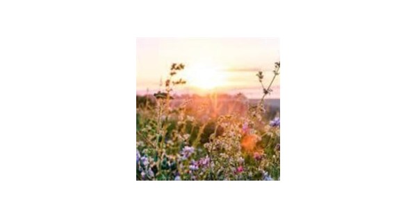 Cynthia Rudd Obituary (2024) - Shelby, NC - Clay-Barnette Funerals ...