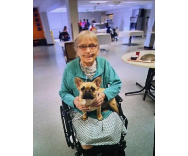 Roxie Mohr Obituary (2026) - Brooklyn Park, MN - Cremation Society of ...