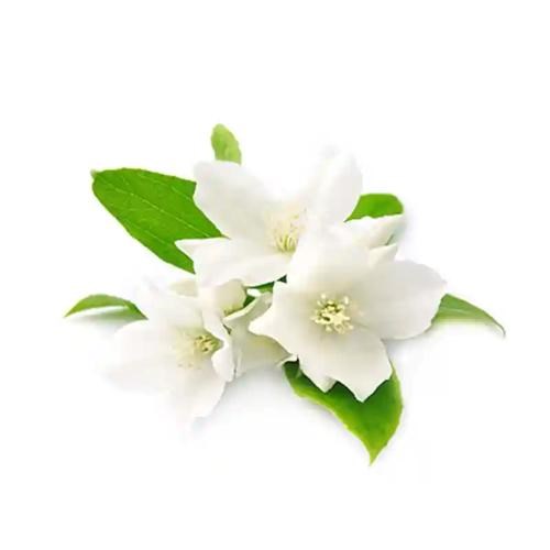 Judy Lee Culp Obituary (2026) - Palm Desert, CA - All California Cremation