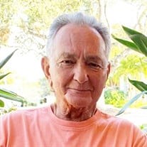 Michael Ernest Seguin Obituary (2024) - Sterling Heights, MI - Wujek ...