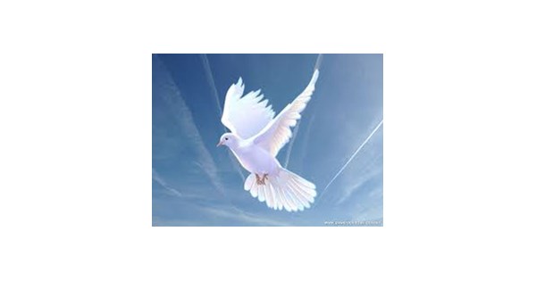 Michael Brock Obituary (2023) - Las Vegas, NV - Serenity Funeral Home ...