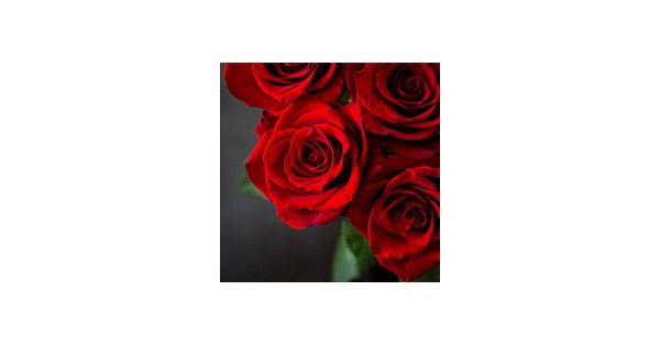 Joyce Broussard Obituary and Online Memorial (2026)