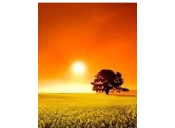 Mr. Darwyn Joseph Compton Jr. Obituary (2025) - Keystone Heights, FL ...