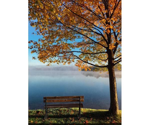 Douglas E. Haber Obituary (2021) - Belchertown, MA - Beers & Story ...