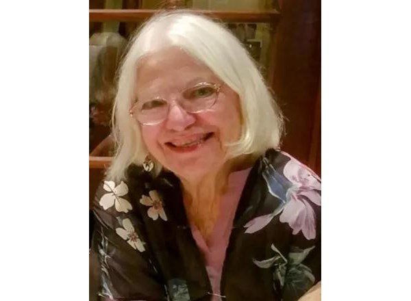 Barbara F. "Robin" Oleck Obituary (2024) - Chicago, IL - Colonial ...