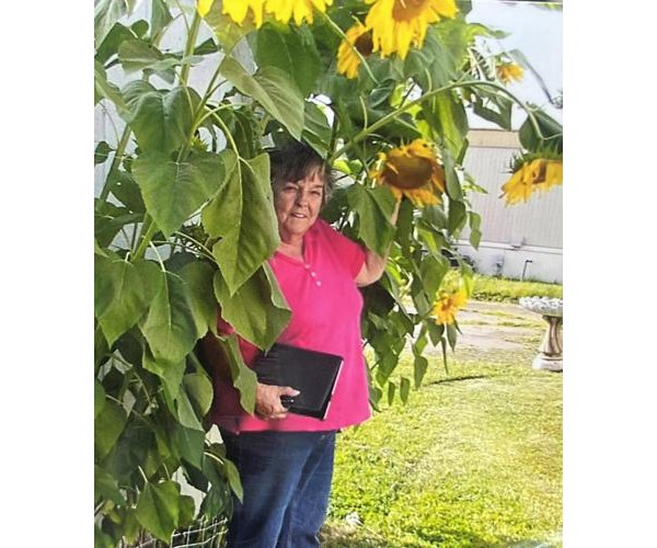 Carol A. Boger Obituary (2023) - Evansville, IN - Sunset Funeral Home ...