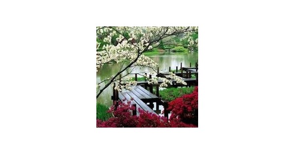 Craig Emory Cogburn Obituary (2025) - Lynchburg, TN - Lynchburg Funeral ...
