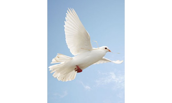 Warren Farrell Obituary and Online Memorial (2026)