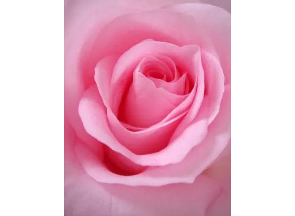 Catherine Borum Obituary (1938 - 2025) - Aiken, SC - The Aiken Standard