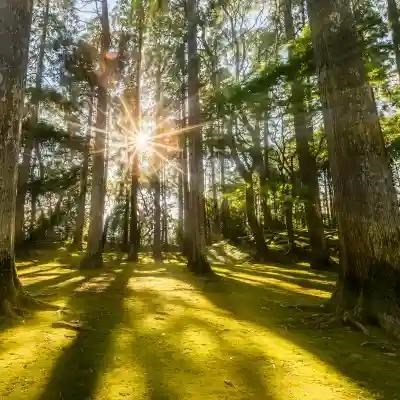 Michael J "Mike" Nobes Obituary (1955 - 2025) - Belchertown, MA ...