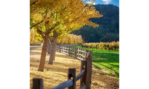 William Northington Obituary (1947 - 2025) - Lodi, CA - Stocktonia