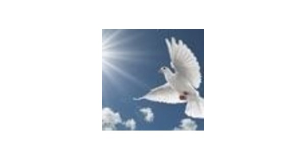Daniel McCollum Obituary (2023) - Fort Worth, TX - Greenwood Funeral ...