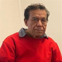 Jose Gamero Obituary (2022) - Sarasota, FL - Maloney Funeral Home LLC ...