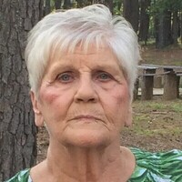 Sharon Johnson Obituary - Death Notice and Service Information