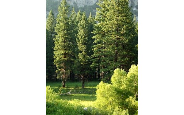 Gerald Roy "Jerry" Crain Obituary (2025) - Prineville, OR - Whispering ...
