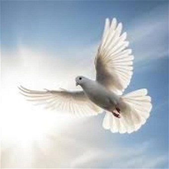 Isaiah Mehki Williams Obituary (2026) - Hartford, CT - Howard K. Hill ...