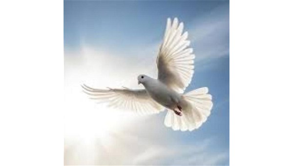 Isaiah Mehki Williams Obituary (2026) - Hartford, CT - Howard K. Hill ...