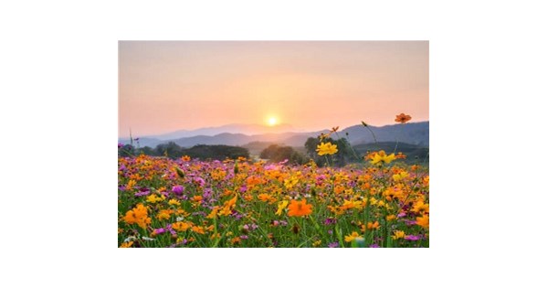 Steven Thomas Gaines Obituary (2025) - Des Moines, IA - Simplify ...