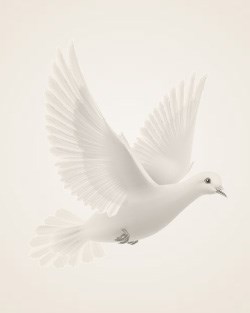 Alice Brogen Bane Obituary (2026) - Carthage, NC - Fry & Prickett ...
