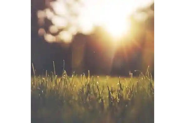 Ronald Christopher Obituary (2025)