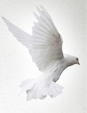 Brian Stooksbury Obituary and Online Memorial (2026)