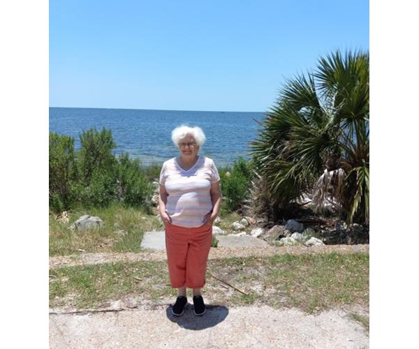 Sharon Ann Smith Obituary (2026) - Tallahassee, FL - Crevasse's Simple ...