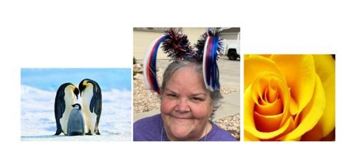 Cindy Stayner Obituary (2023) - Murray, UT - Utah Simple Cremations