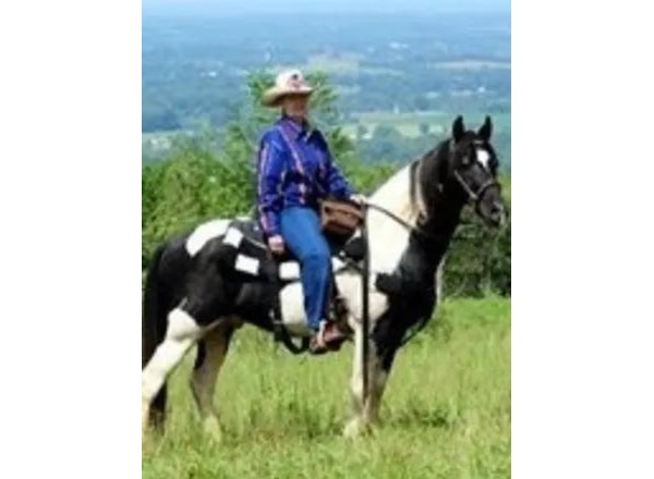 Susan Wallace Obituary (1947 - 2025) - Florence, AL - WTVA