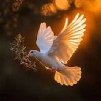 Adrienne Rachelle Hines Obituary (2026) - Morgantown, WV - Smith ...