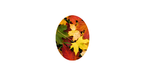 Edward Springer Obituary (2024) - Starkville, MS - Welch Funeral Home